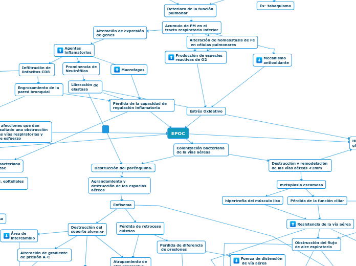 EPOC - Mind Map